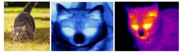 Infrared sensitivity in mammals – infraredadaptations.co.uk